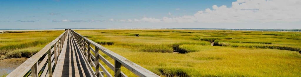Restoring Cape Cod's Salt Marshes - Conservation Law Foundation