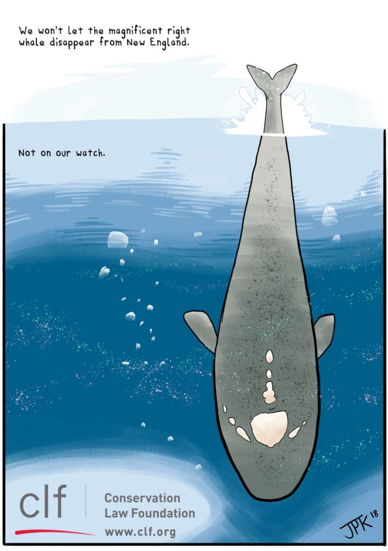 An Illustrated History of North Atlantic Right Whales - Conservation ...