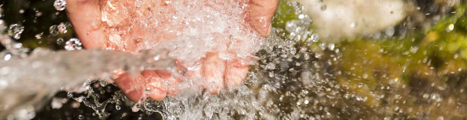 Tackling Toxic Chemicals - Conservation Law Foundation