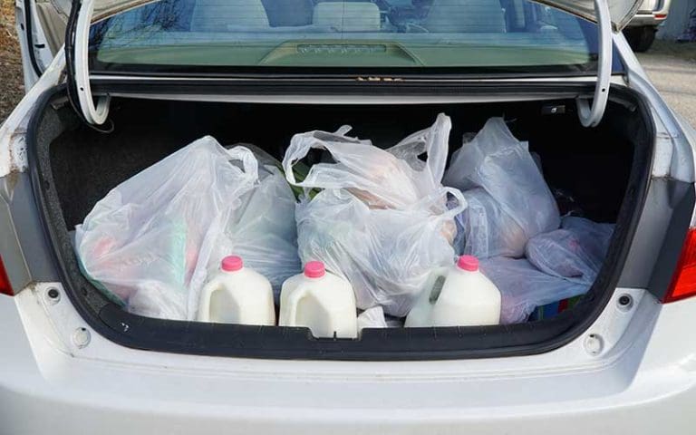 Why Plastic Bag Bans? | Conservation Law Foundation