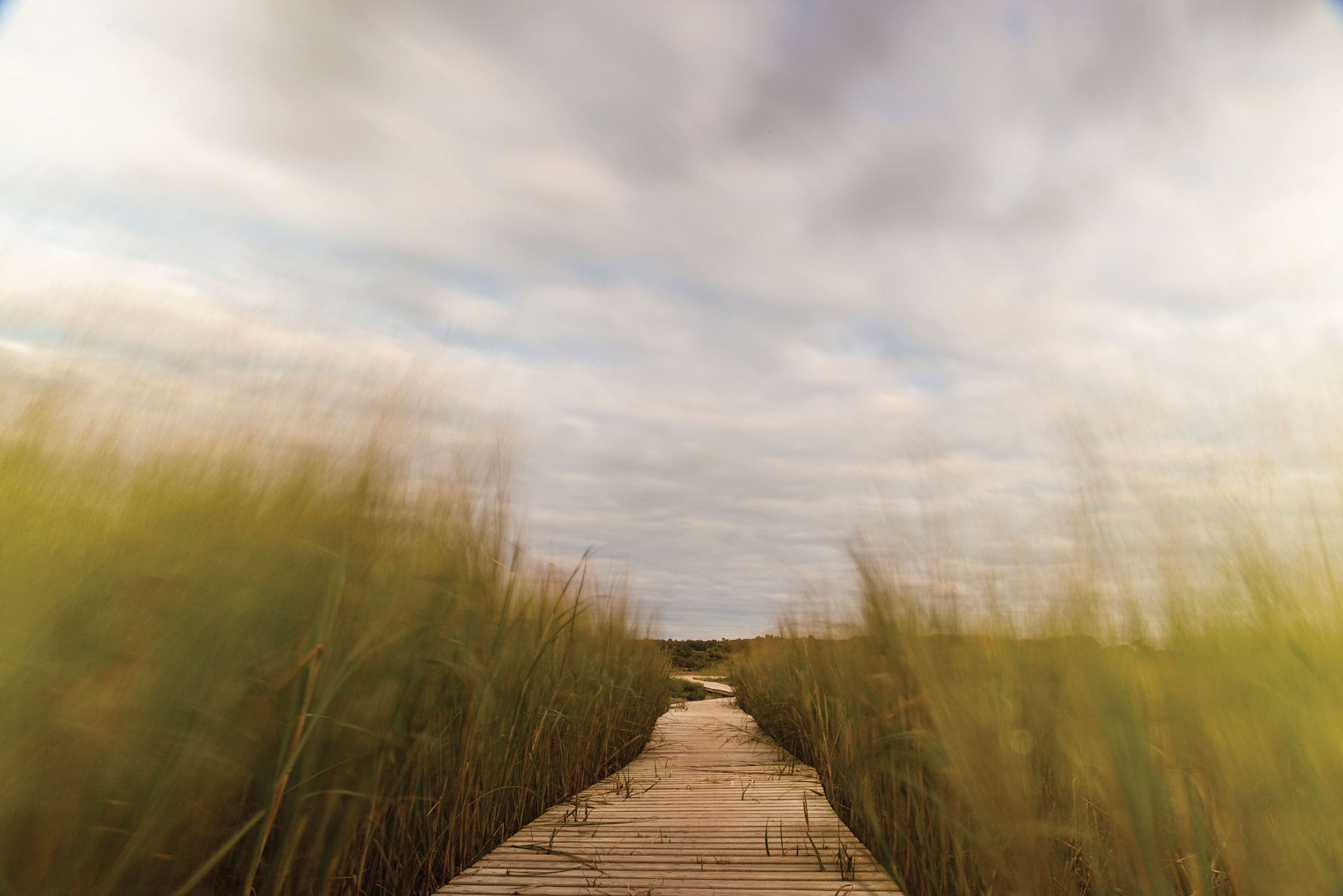 Saving Cape Cod's Waters - Conservation Law Foundation