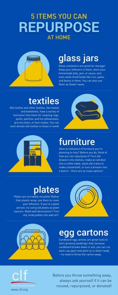 Infographic: 5 Items You Can Repurpose at Home - Conservation Law ...