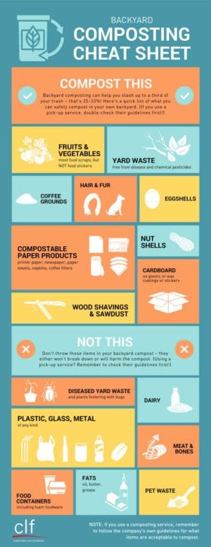 Infographic: What Should You Be Composting in Your Backyard ...