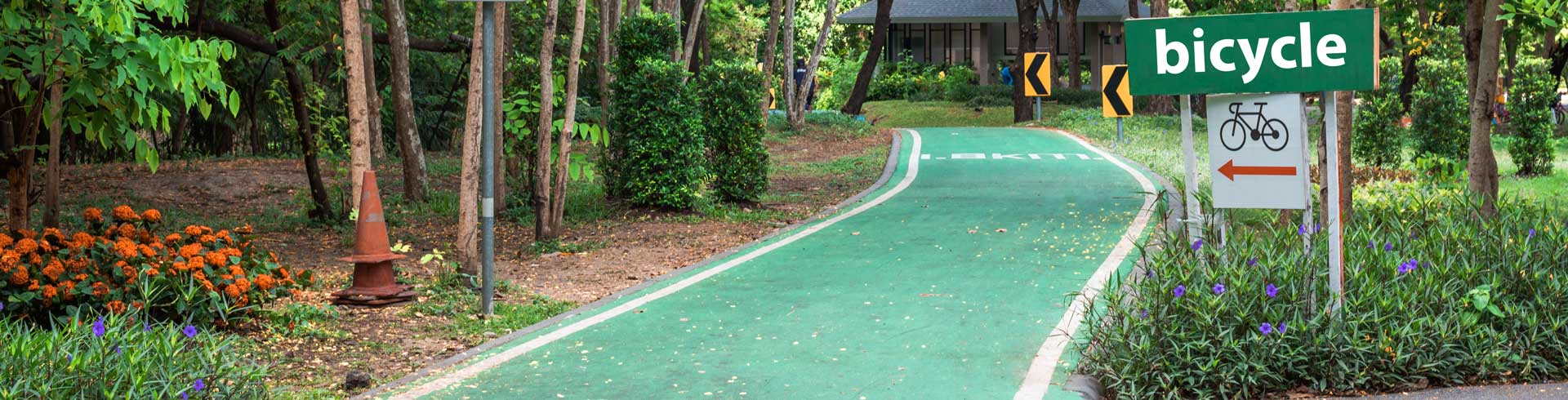 Transforming Transportation - Conservation Law Foundation