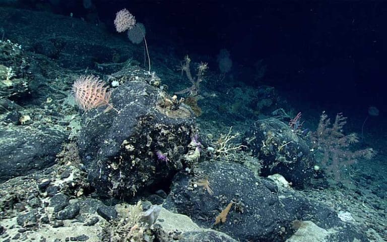 A Call to Action in Celebration of New England's Only Marine National ...