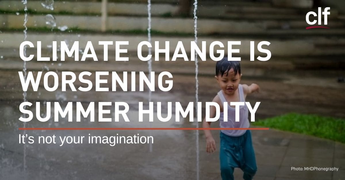 How Climate Change is Making Summer Humidity Worse - Conservation Law ...