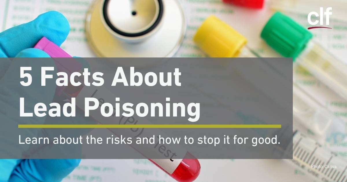 Five Things You Need to Know About Lead Poisoning - Conservation Law ...