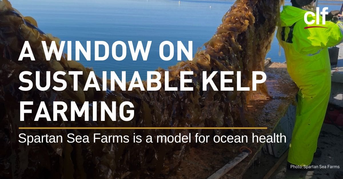 A Sustainable (and Tasty) Solution to Ocean Health - Conservation Law ...